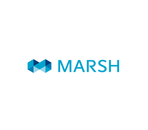 Partner – Marsh | Federation of Irish Sport