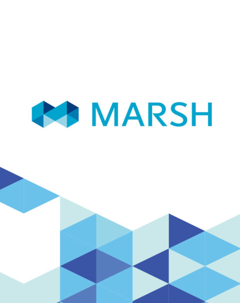 Federation Member’s Seminar: Marsh Insurance, ‘Managing Risk in the ...